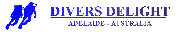 Torches – Divers Delight Australia